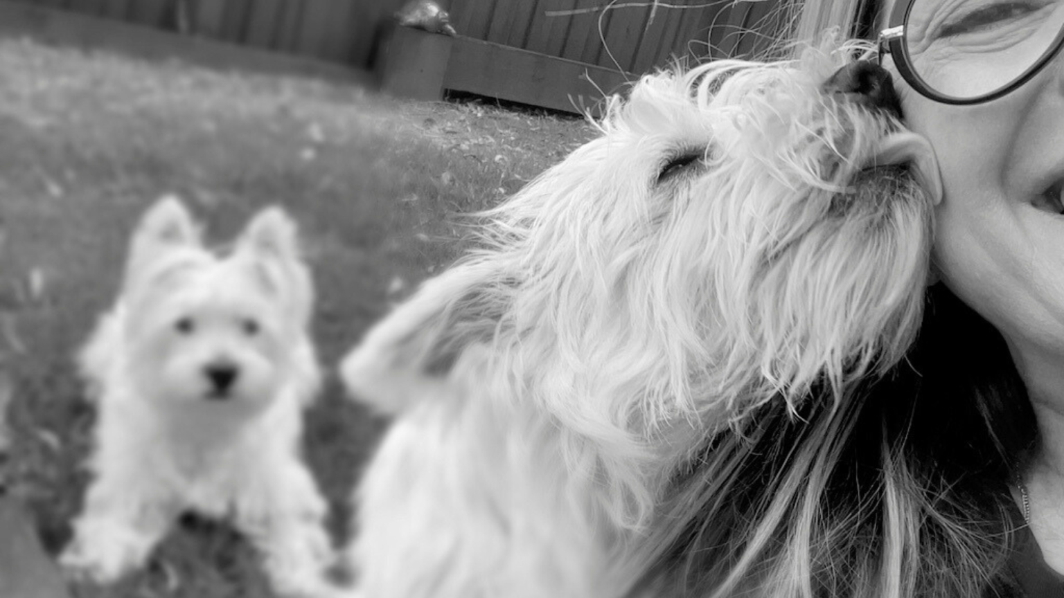 The Highland Woman | Meet Our Club Mascots Luna & Otto